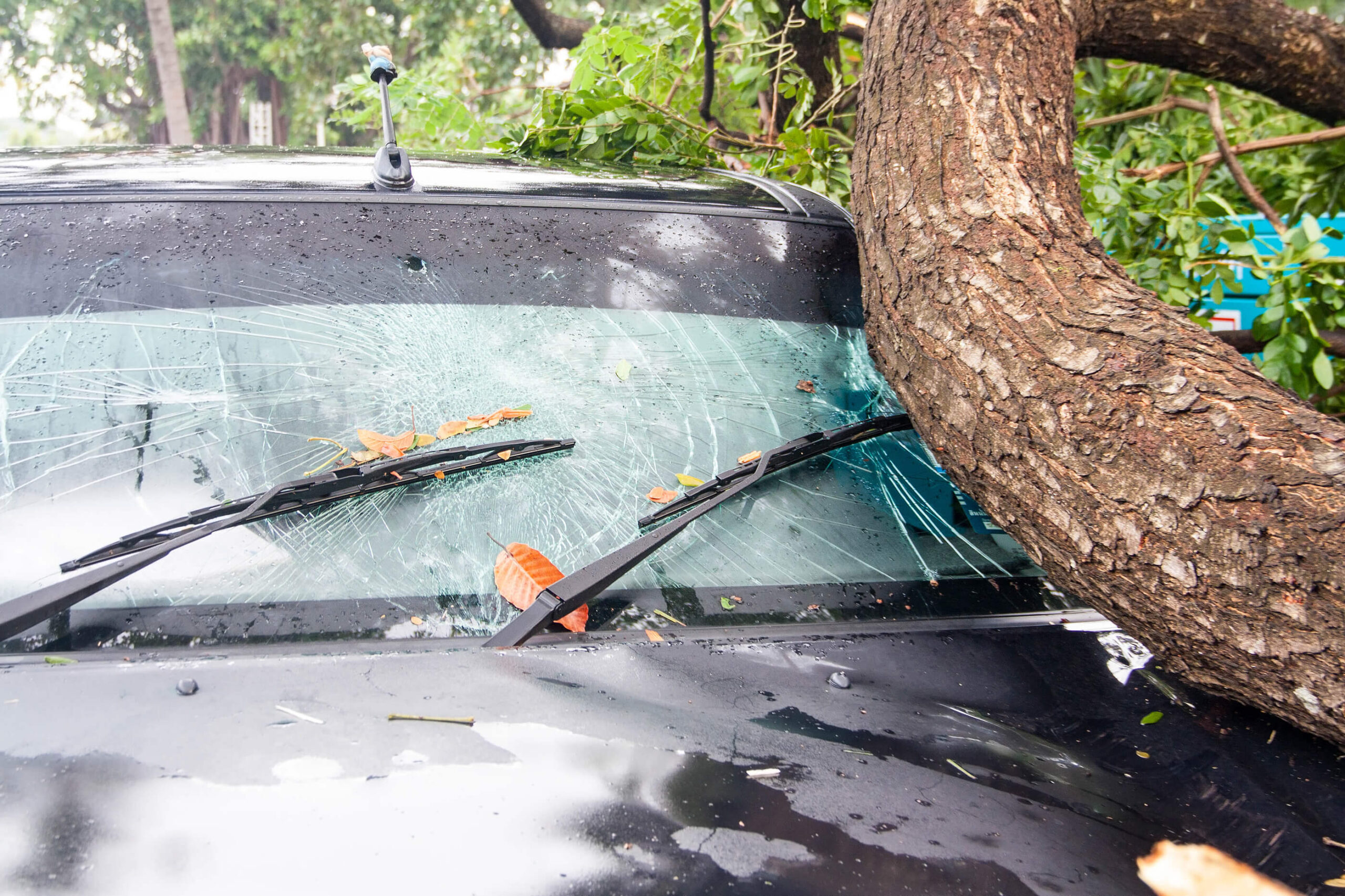 5 Reasons to Choose Carstruction for Car Storm Damage Repair - Car ...